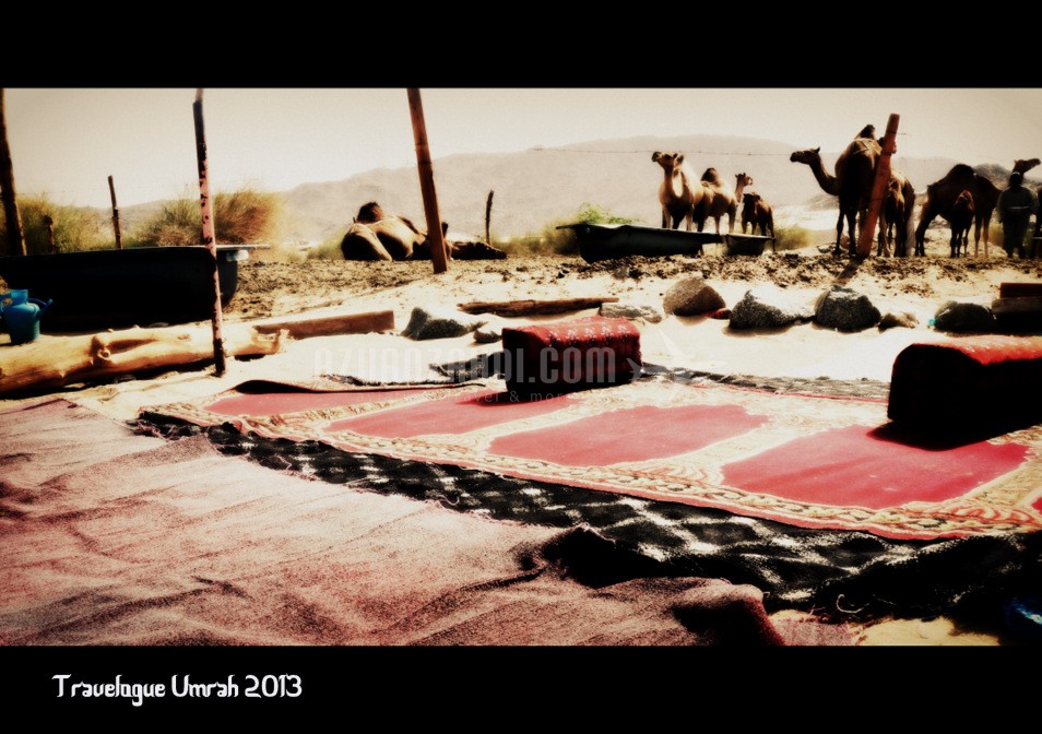 Umrah Trip 2013: Hudaibiyah Mosque, Camels and Exhibition of the Two ...
