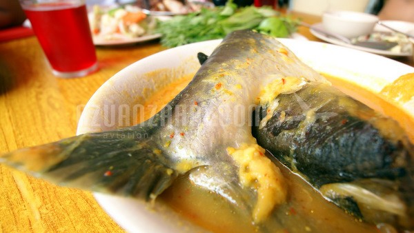 Yummy-licious Food in Kuantan - AzuanZahdi.com
